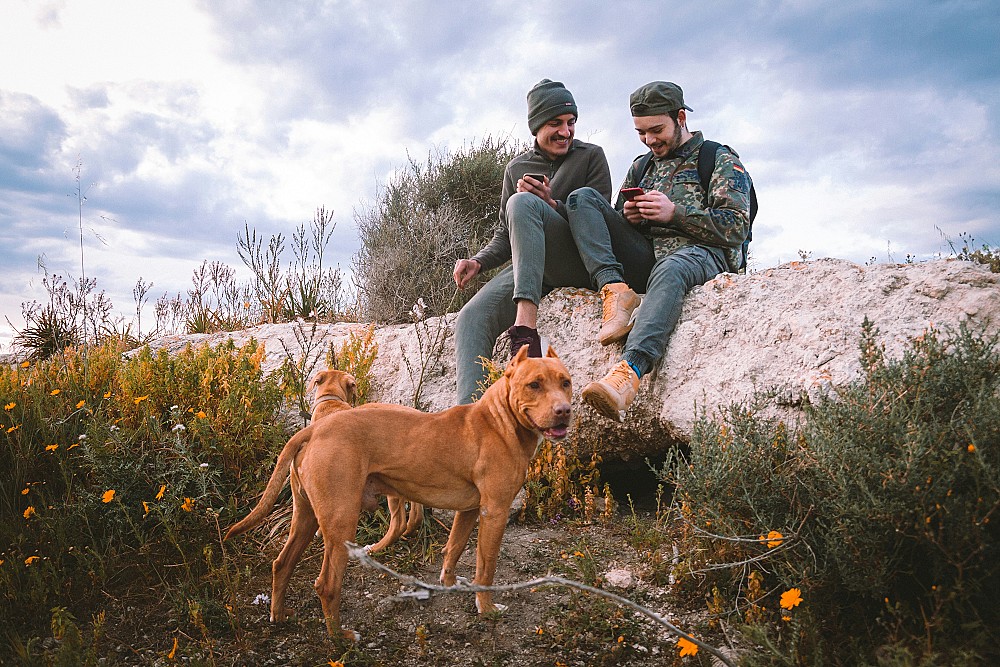 Cours de dressage de chien : tout ce que vous devez savoir